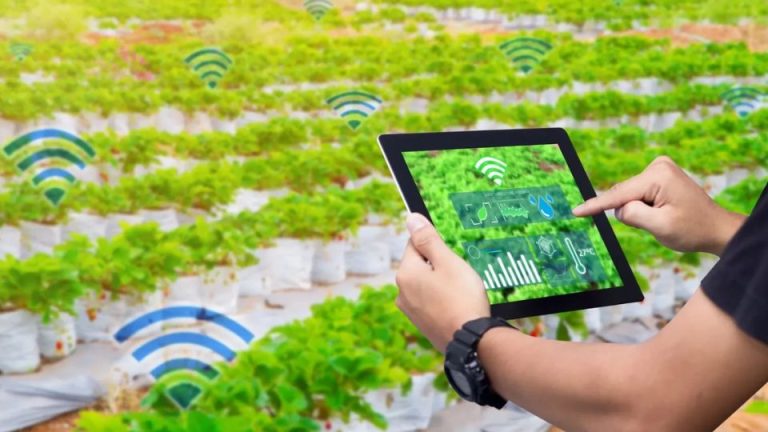Kelas Project IoT Smart Farming - Indobot Academy